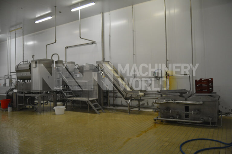 Complete Mozzarella Cheese Processing Plant - 1,000 kg/hour - Machinery ...